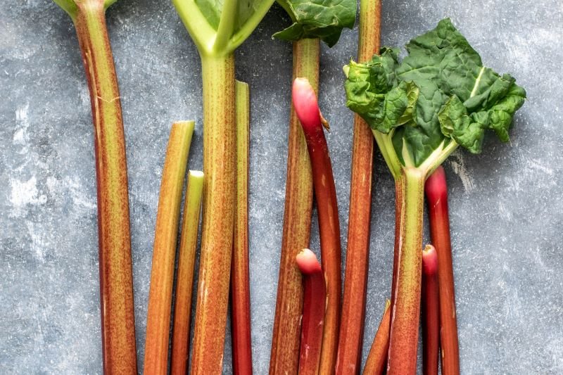 Rabarbar: wartości odżywcze. Dlaczego warto jeść rabarbar? | MamaDu.pl
